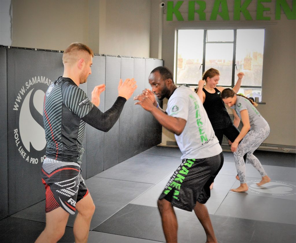 4 Week Beginners MMA Course